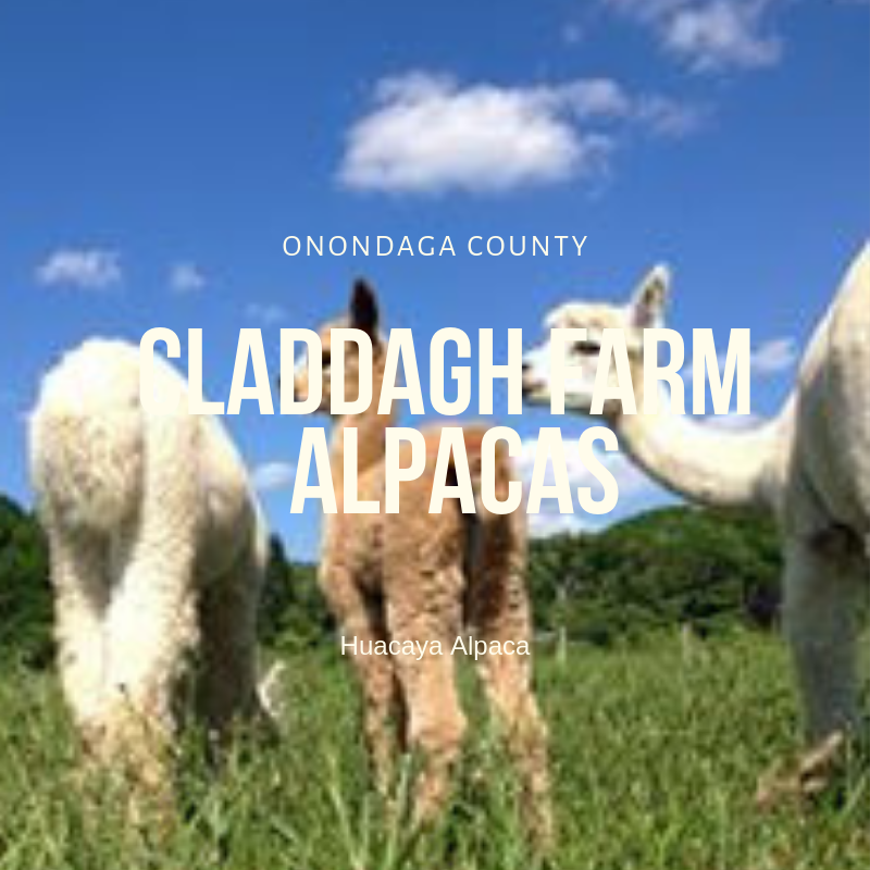 Claddagh Farm – LocalFiber