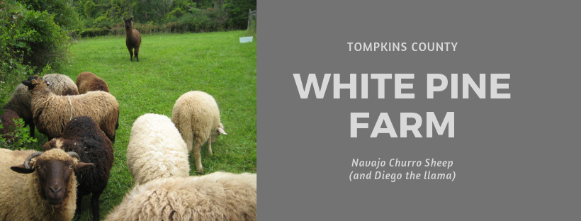 White Pine Farm – LocalFiber