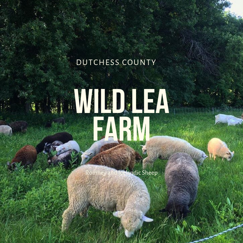 Wild Lea Farm – LocalFiber