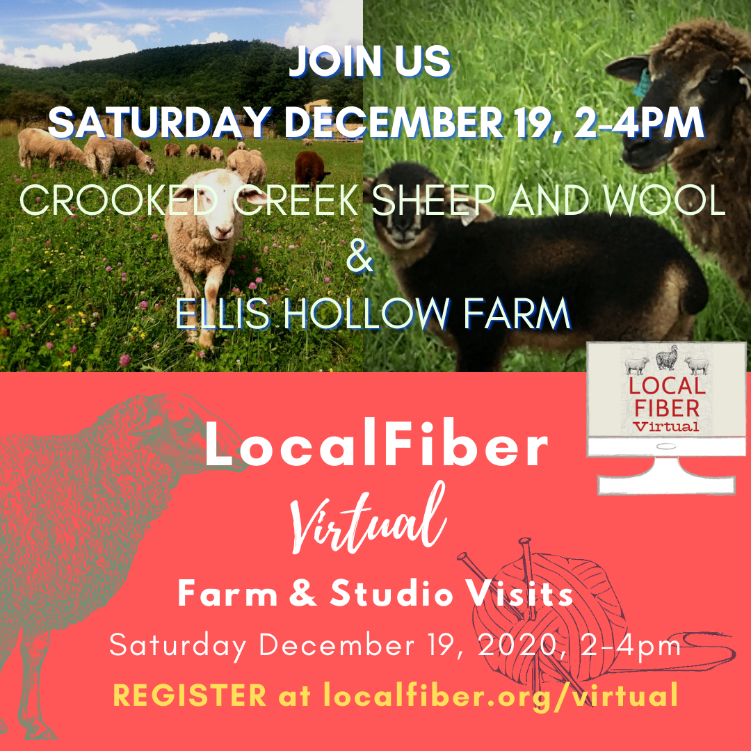 Virtual Visits on Dec 19, 2020 – LocalFiber